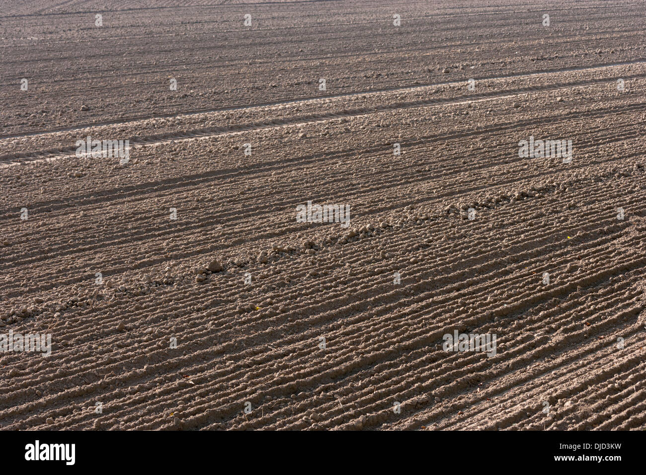 Germany, Bavaria, ploughed soil Stock Photo - Alamy