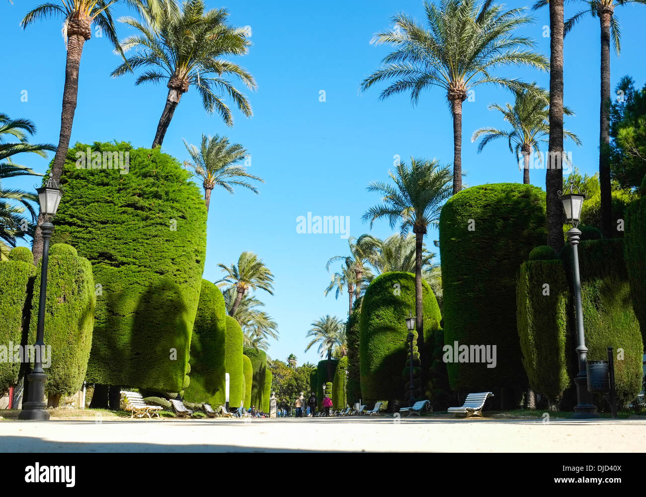 Parque Genoves in Cadiz, Andalucia, Spain Stock Photo - Alamy