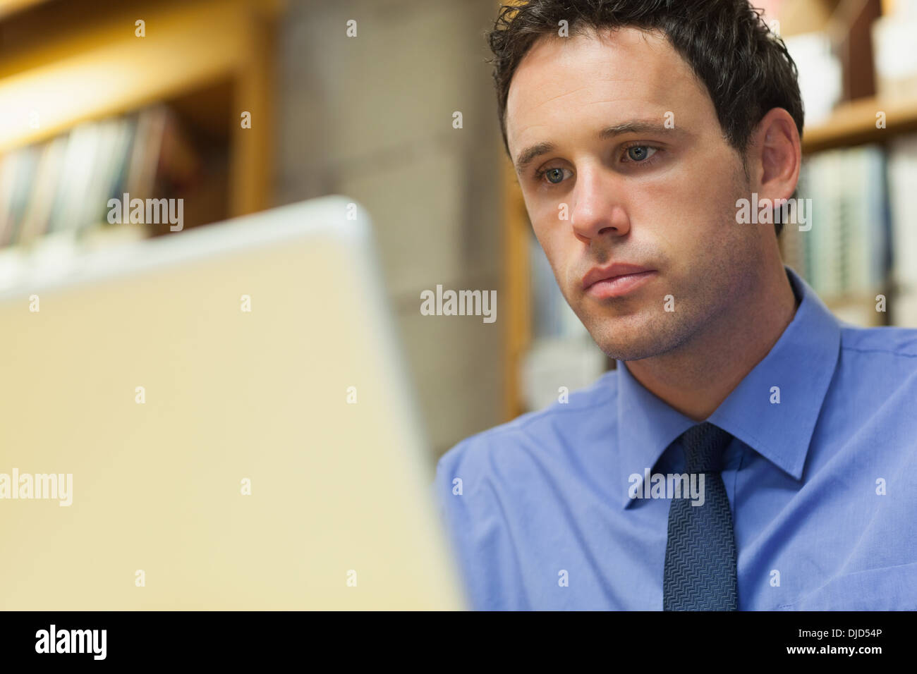 Focused librarian working at laptop Stock Photo - Alamy