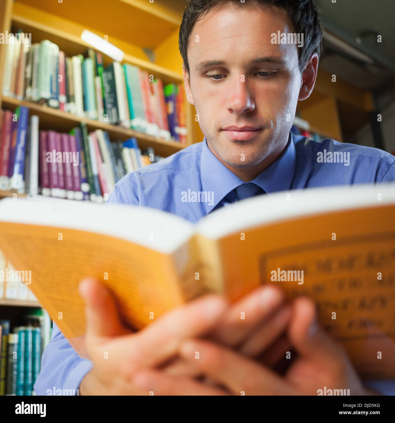 Content librarian sitting at desk reading a book Stock Photo - Alamy