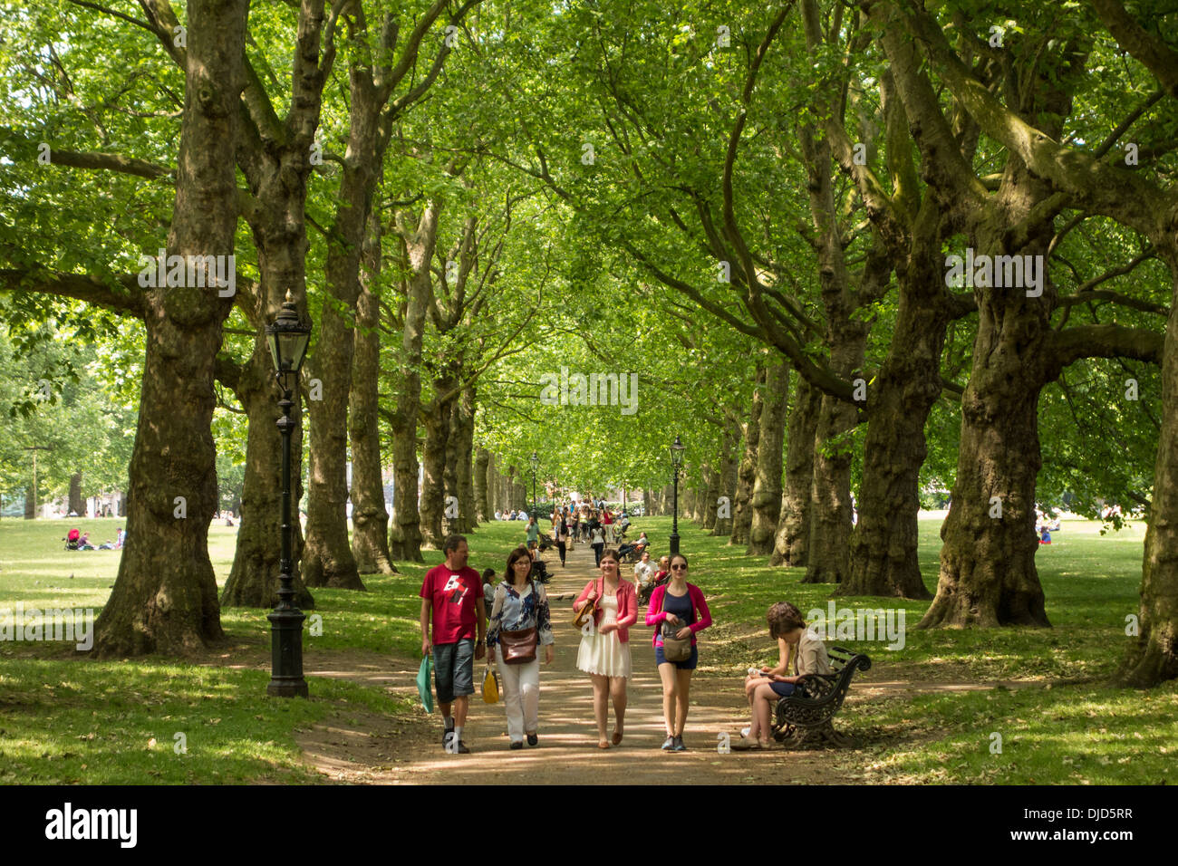 People walking park trees hi-res stock photography and images - Alamy