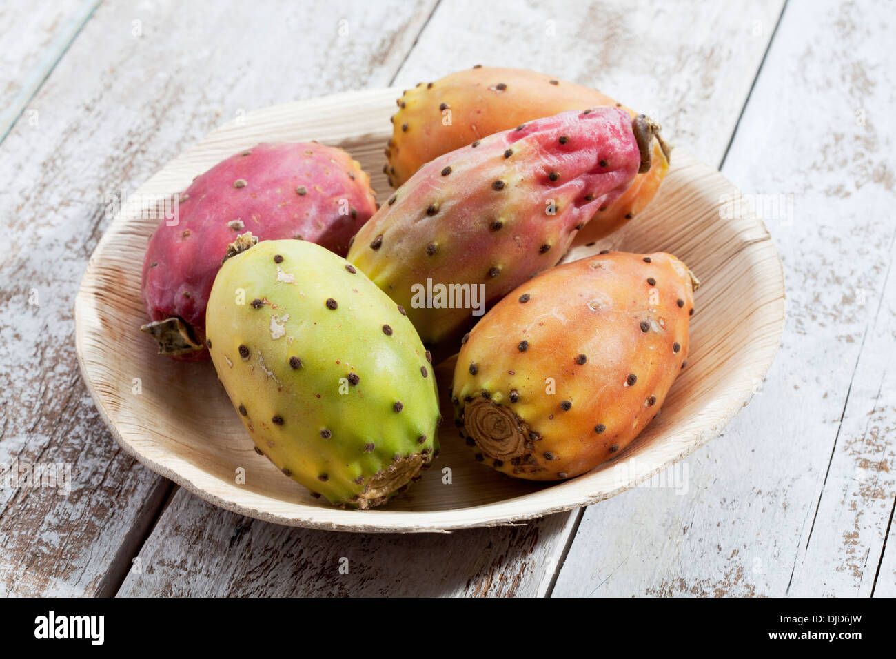 Prickly plate hi-res stock photography and images - Alamy