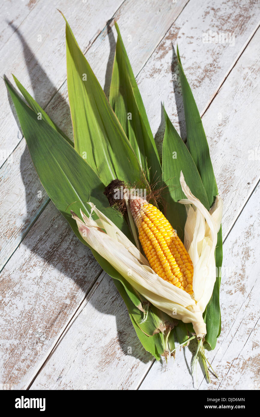 Corn cob with leaves Stock Photo - Alamy