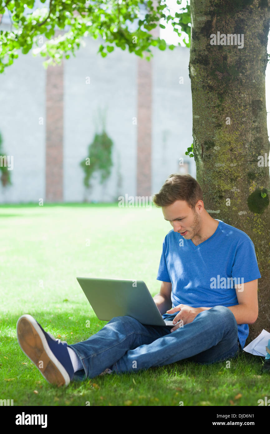Calm handsome student sitting under tree using laptop Stock Photo - Alamy