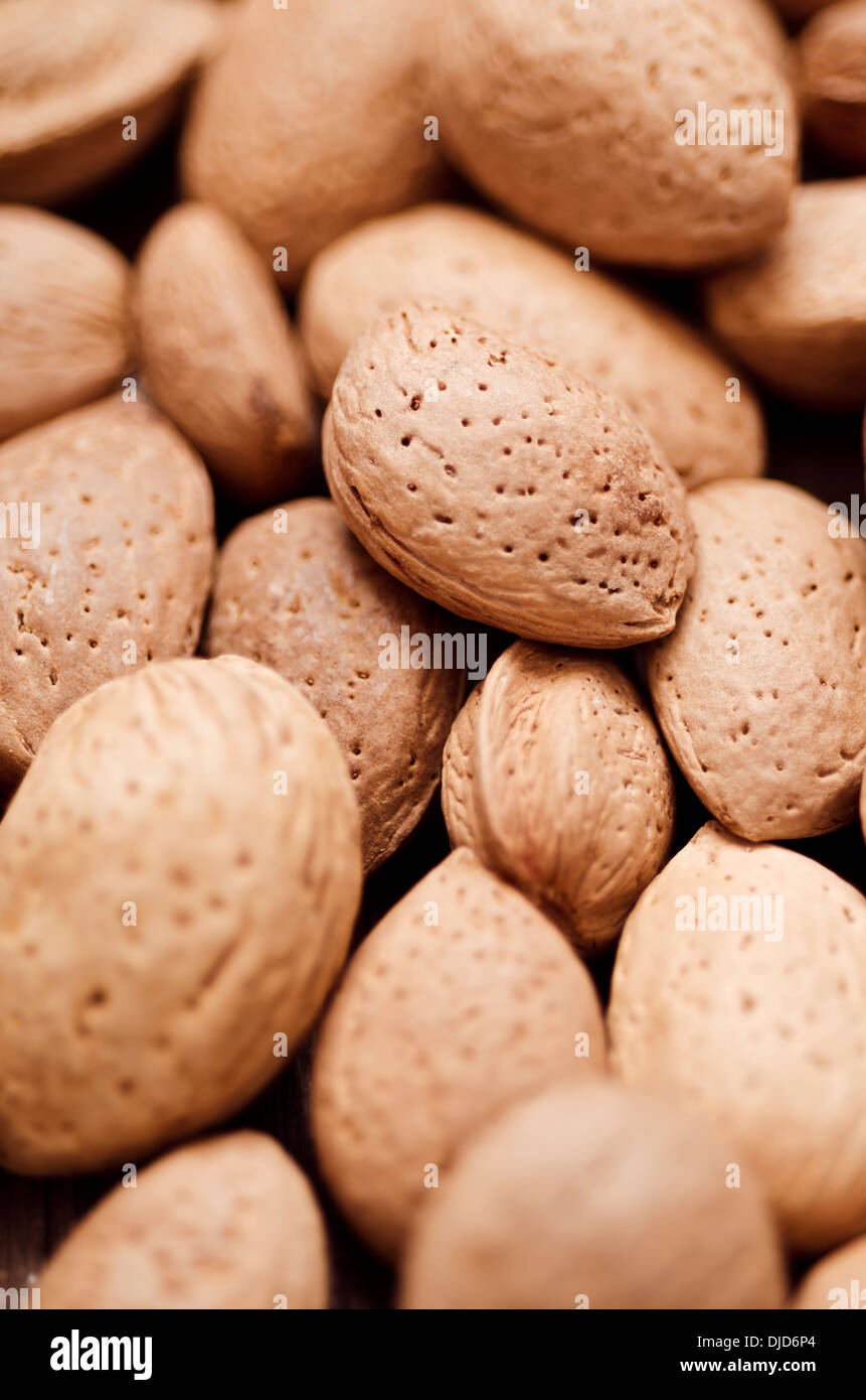 Almonds with shell, close-up Stock Photo - Alamy