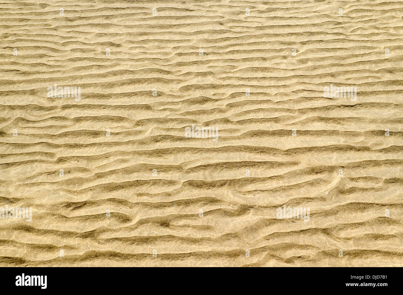 Great Britain, Wales, beach, ripple marks Stock Photo - Alamy