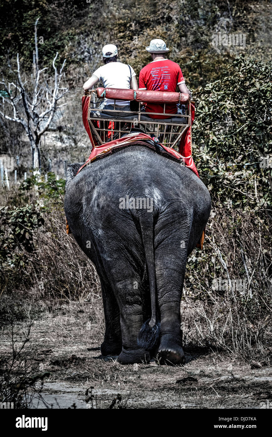 Tourists elephant trekking through a Thai Jungle. Thailand S. E. Asia ...