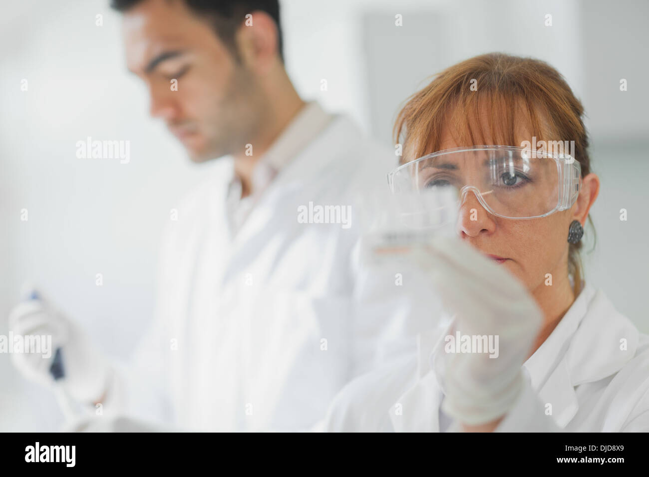 Team of serious scientists at work Stock Photo - Alamy