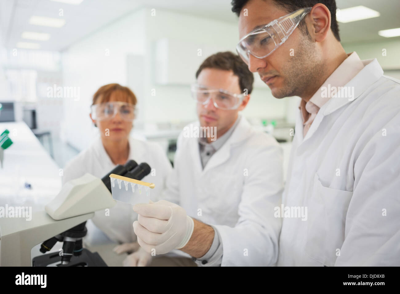 Team female scientists examining hi-res stock photography and images ...