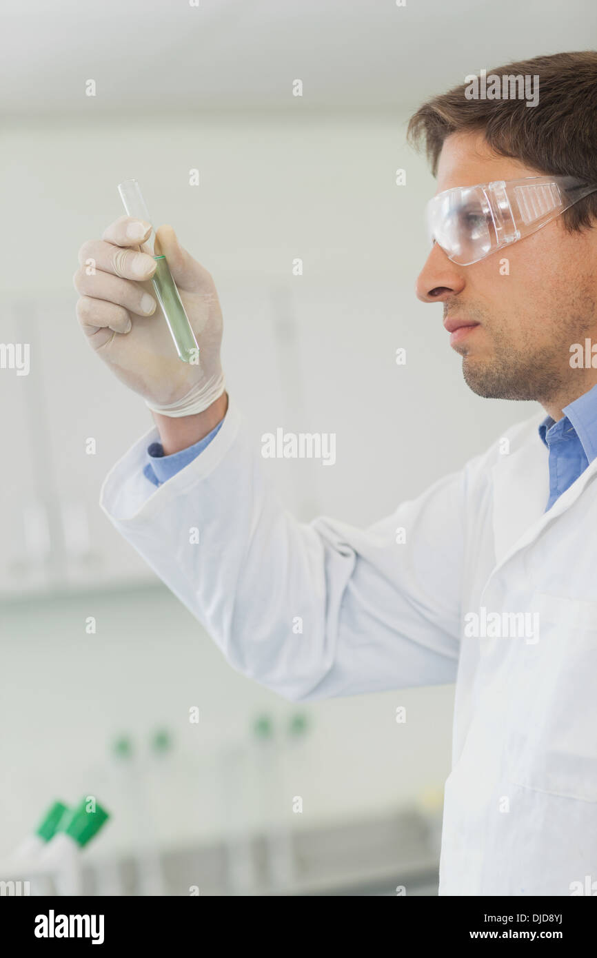 Profile view of young male scientist looking at small test tube Stock ...