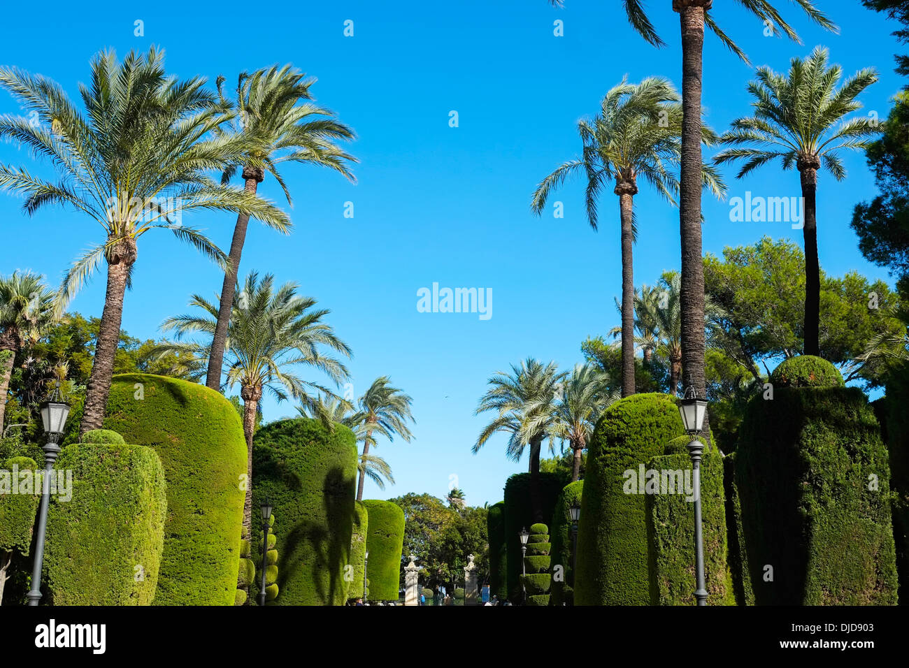 Parque Genoves in Cadiz, Andalucia, Spain Stock Photo - Alamy