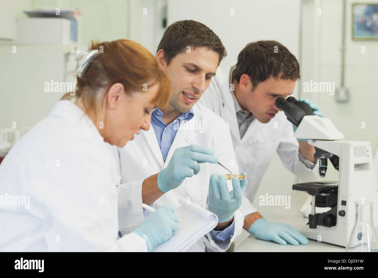 Laboratory plant microscope hi-res stock photography and images - Alamy