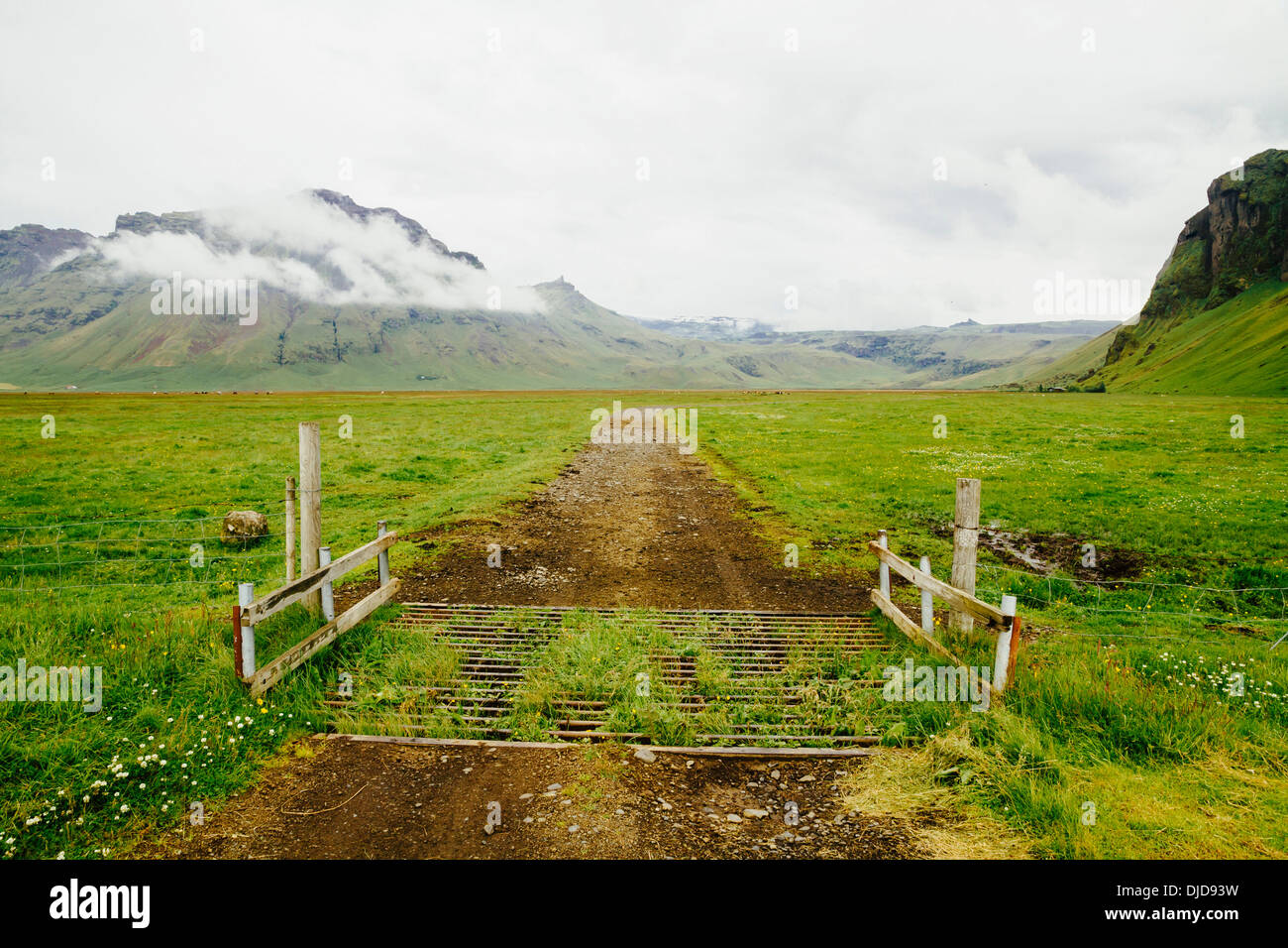 Iceland, road and gate Stock Photo - Alamy