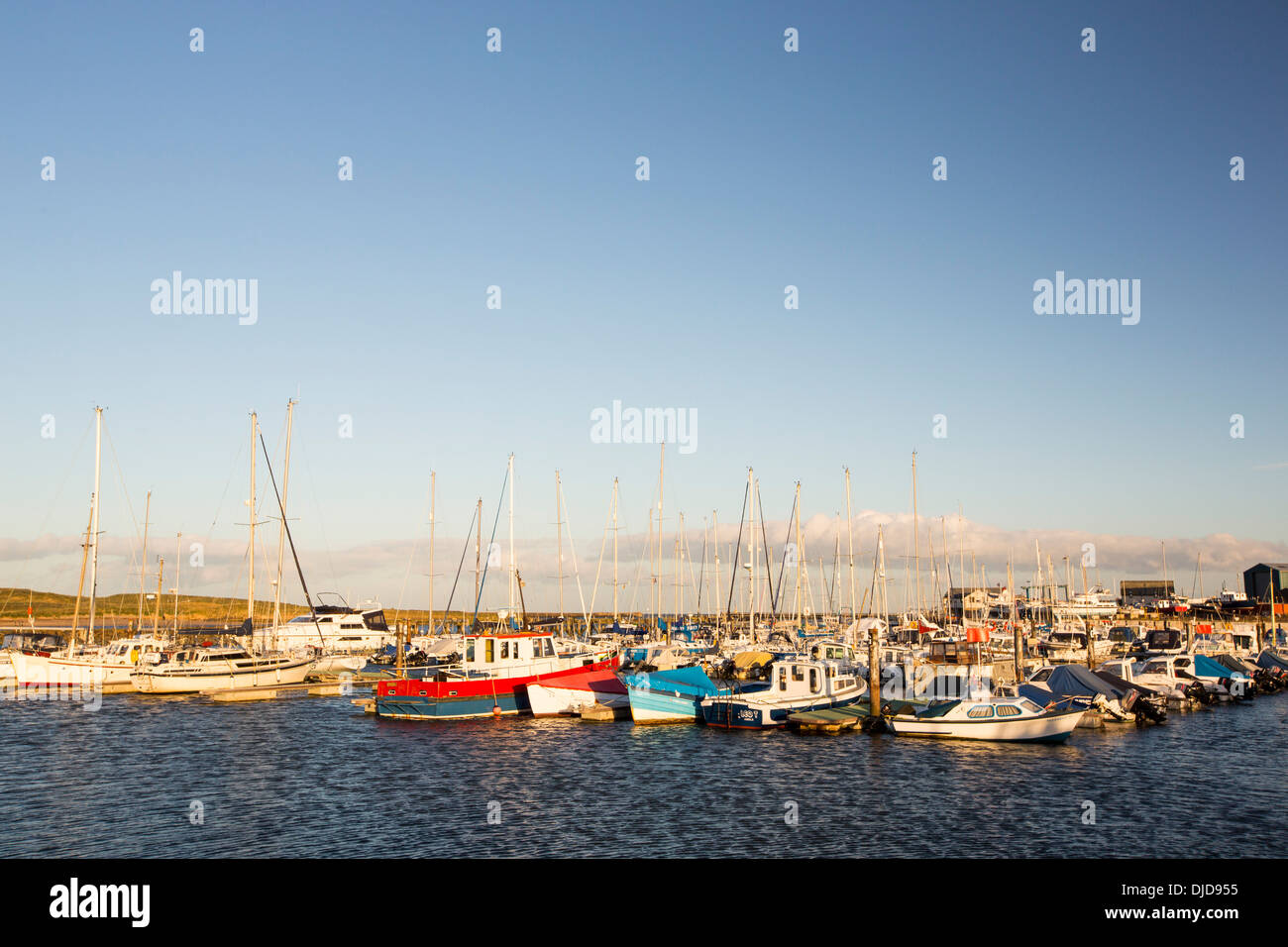 Amble marina in Amble, northumberland, UK Stock Photo - Alamy