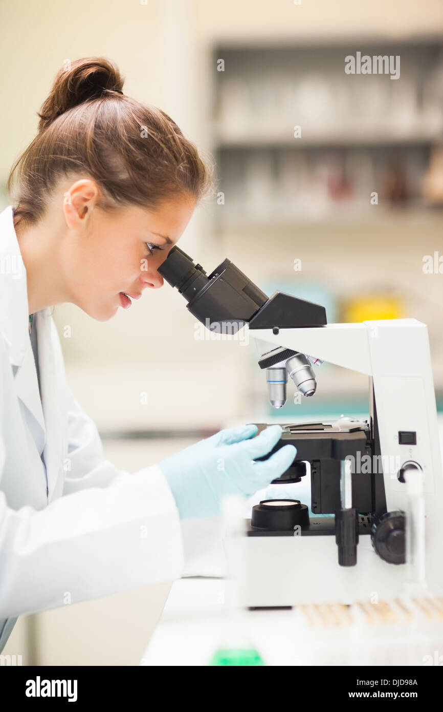 Focused brunette student looking through microscope Stock Photo - Alamy