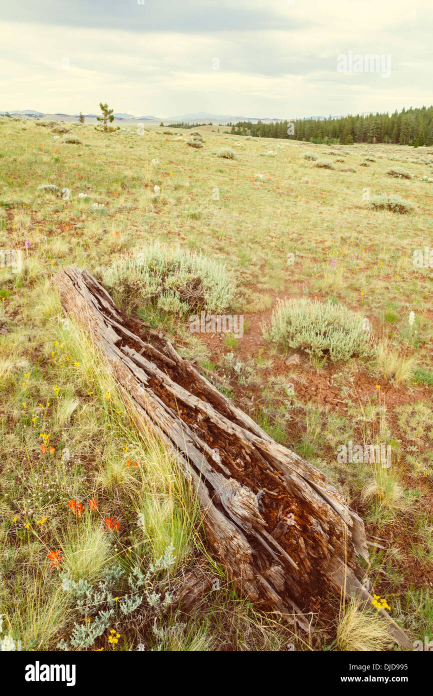 Salida salida salida hi-res stock photography and images - Alamy