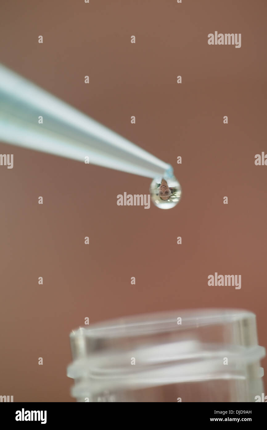 Extreme close up of pipette and drop reflecting student Stock Photo - Alamy
