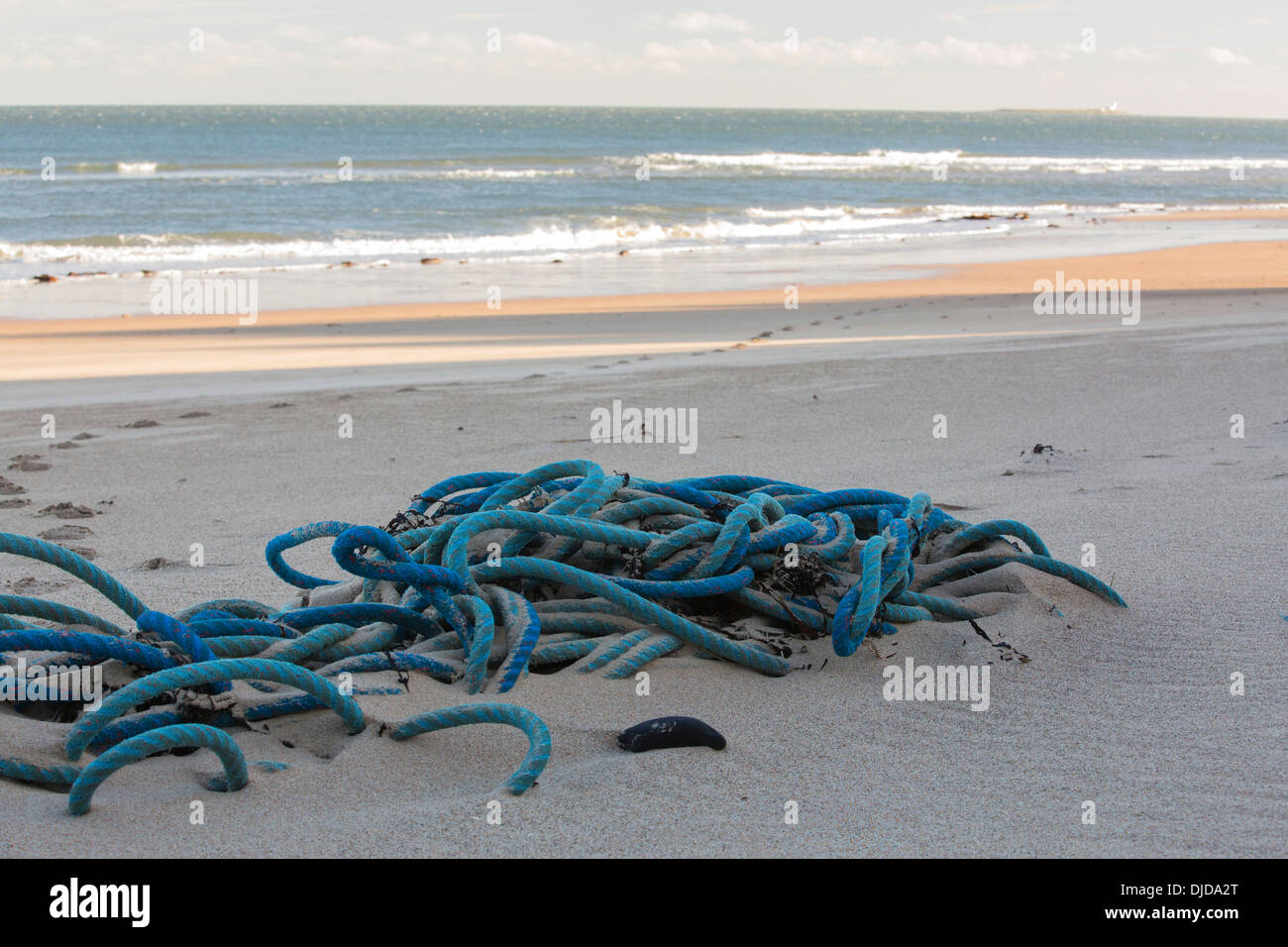 Fishing rope thrown overboard by a trawler and washed ashore on the ...