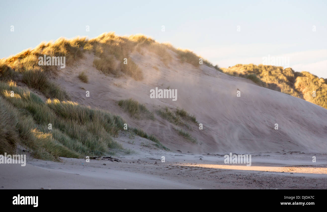 Dune forming hi-res stock photography and images - Alamy