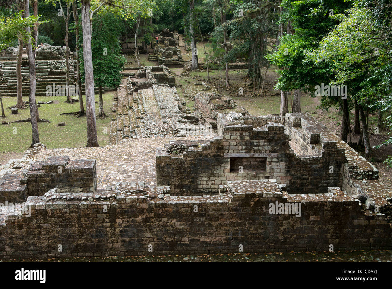 Maya Civilization; Copan, Honduras Stock Photo - Alamy
