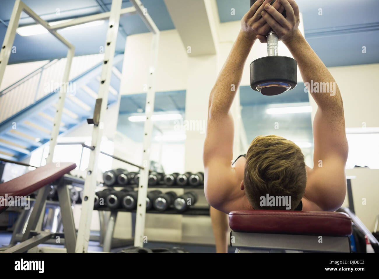 Muscular head hi-res stock photography and images - Alamy