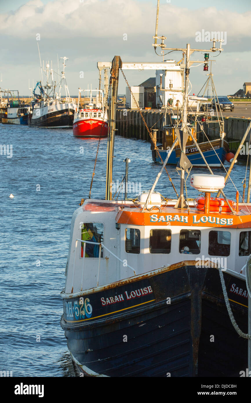Fishing boats in Amble, Northumberland, UK Stock Photo - Alamy