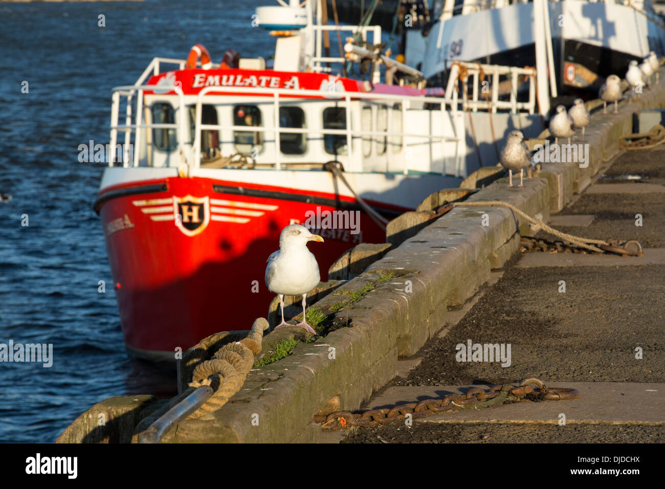 A fishing boat in Amble, Northumberland, UK Stock Photo - Alamy