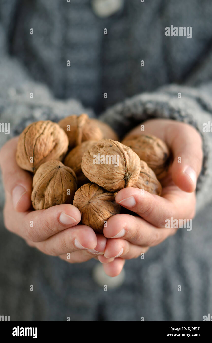 Only walnuts hi-res stock photography and images - Alamy