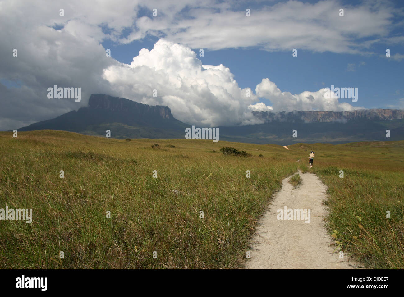 Mount roraima summit hi-res stock photography and images - Alamy
