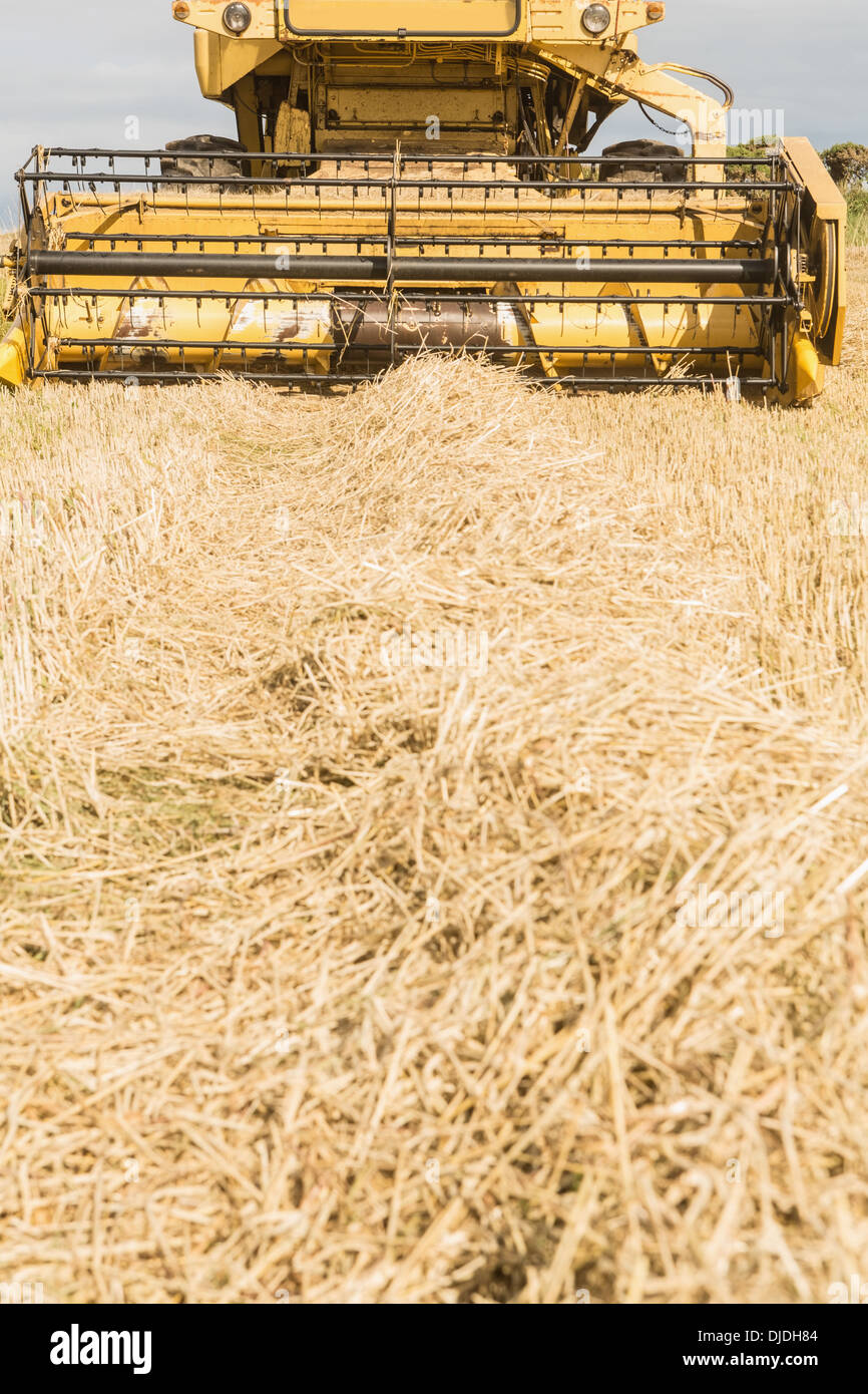 Harvester machine working hi-res stock photography and images - Alamy