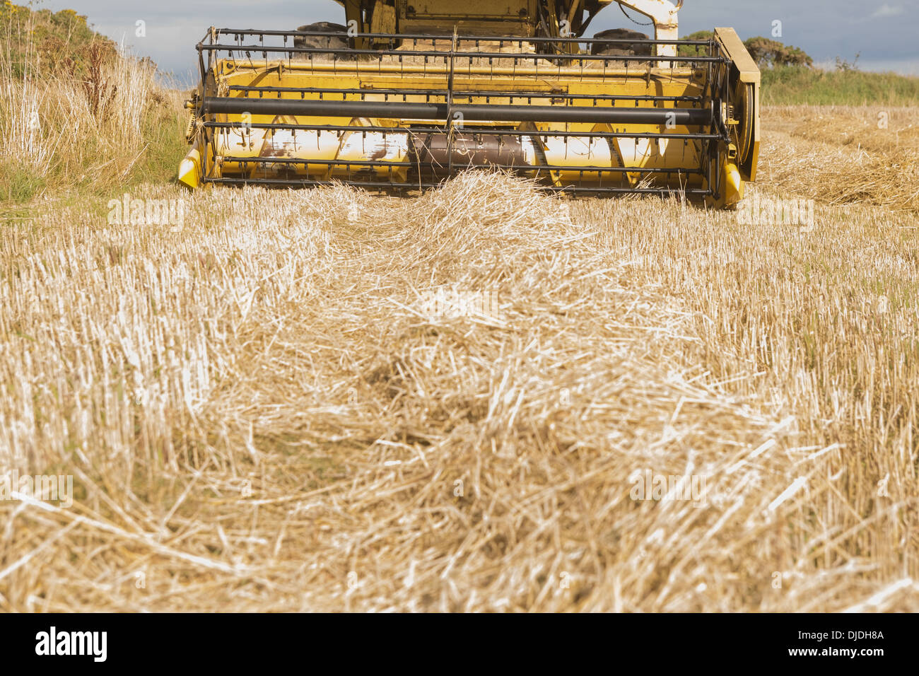 Working harvester hi-res stock photography and images - Alamy