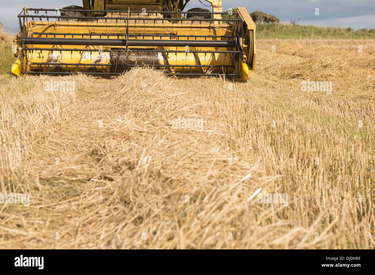 Working combine harvester hi-res stock photography and images - Alamy