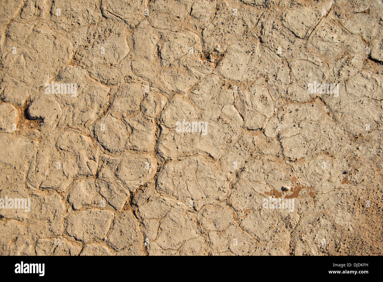 Sandy soil dry hi-res stock photography and images - Alamy