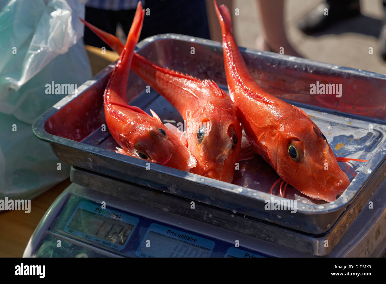 Old scales weighing fish hi-res stock photography and images - Alamy