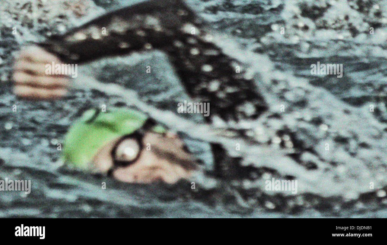 Germany, Frankfurt, Iron Man, triatlon, swim, swimming, crawl Stock ...