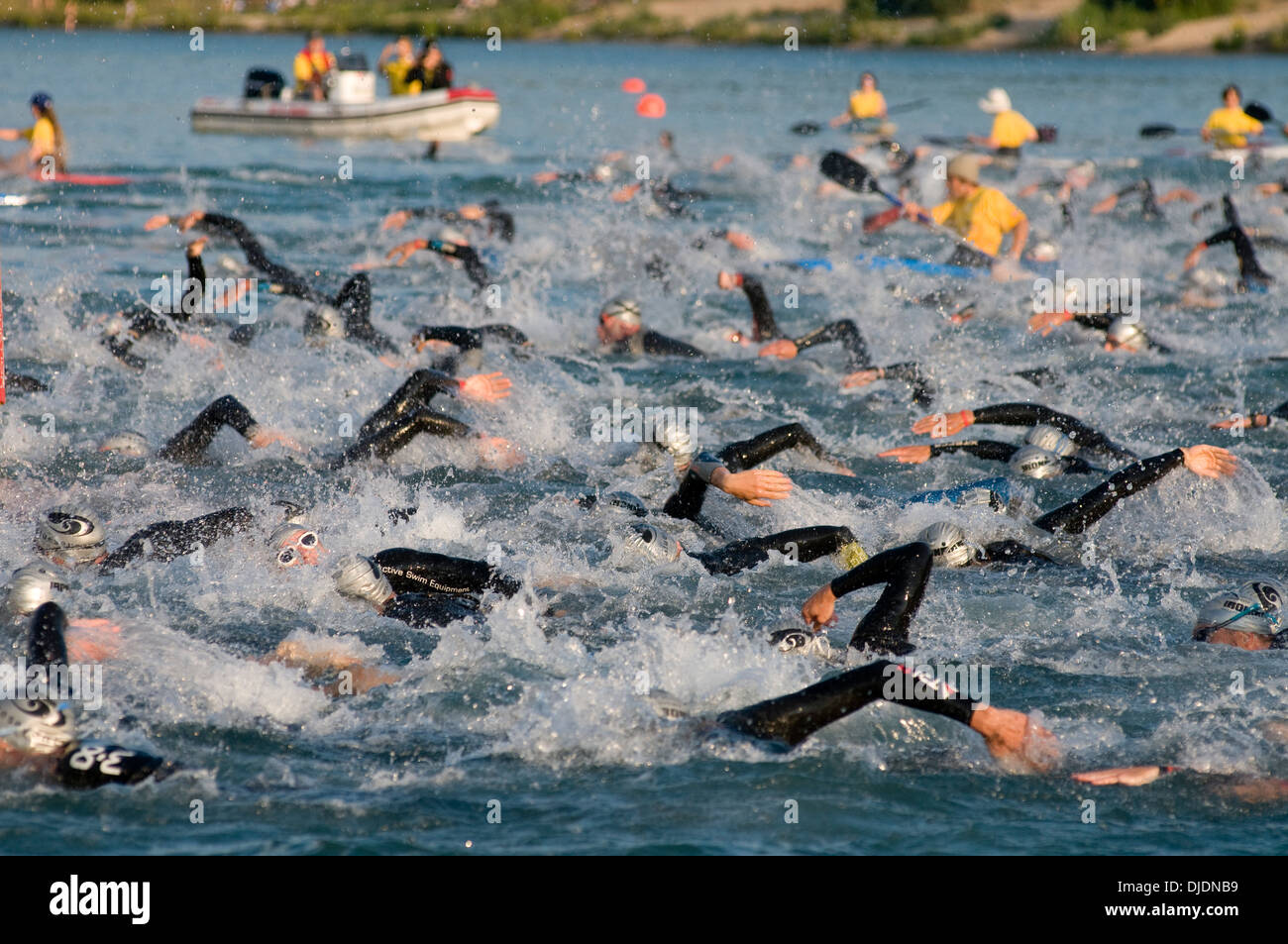 Germany, Frankfurt, Iron Man, triatlon, swim, swimming, crawl Stock ...