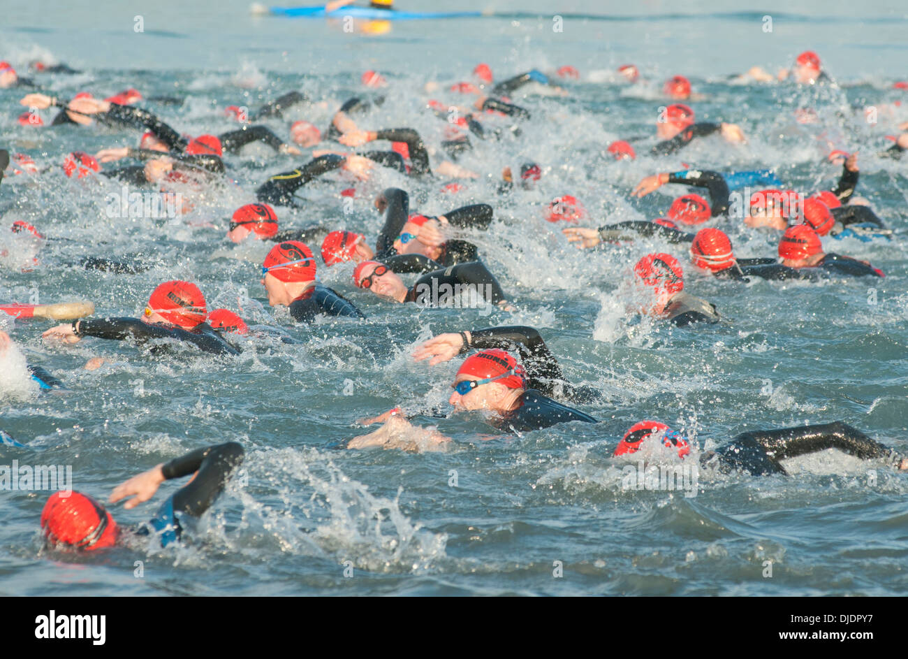 Germany, Frankfurt, Iron Man, triatlon, swim, swimming, crawl Stock ...