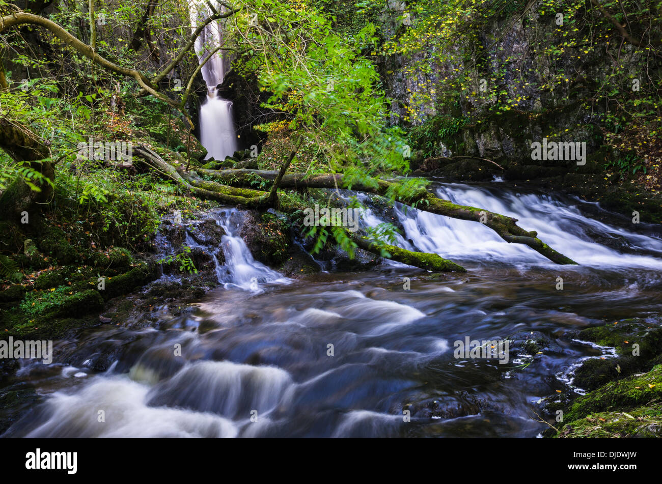 Catrigg Force waterfall in the Yorkshire Dales Stock Photo - Alamy