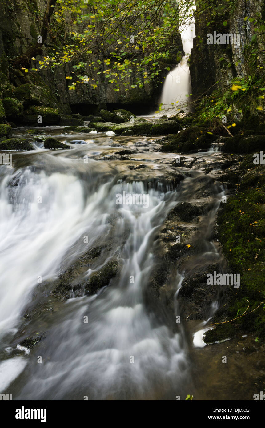Catrigg Force waterfall in the Yorkshire Dales Stock Photo - Alamy