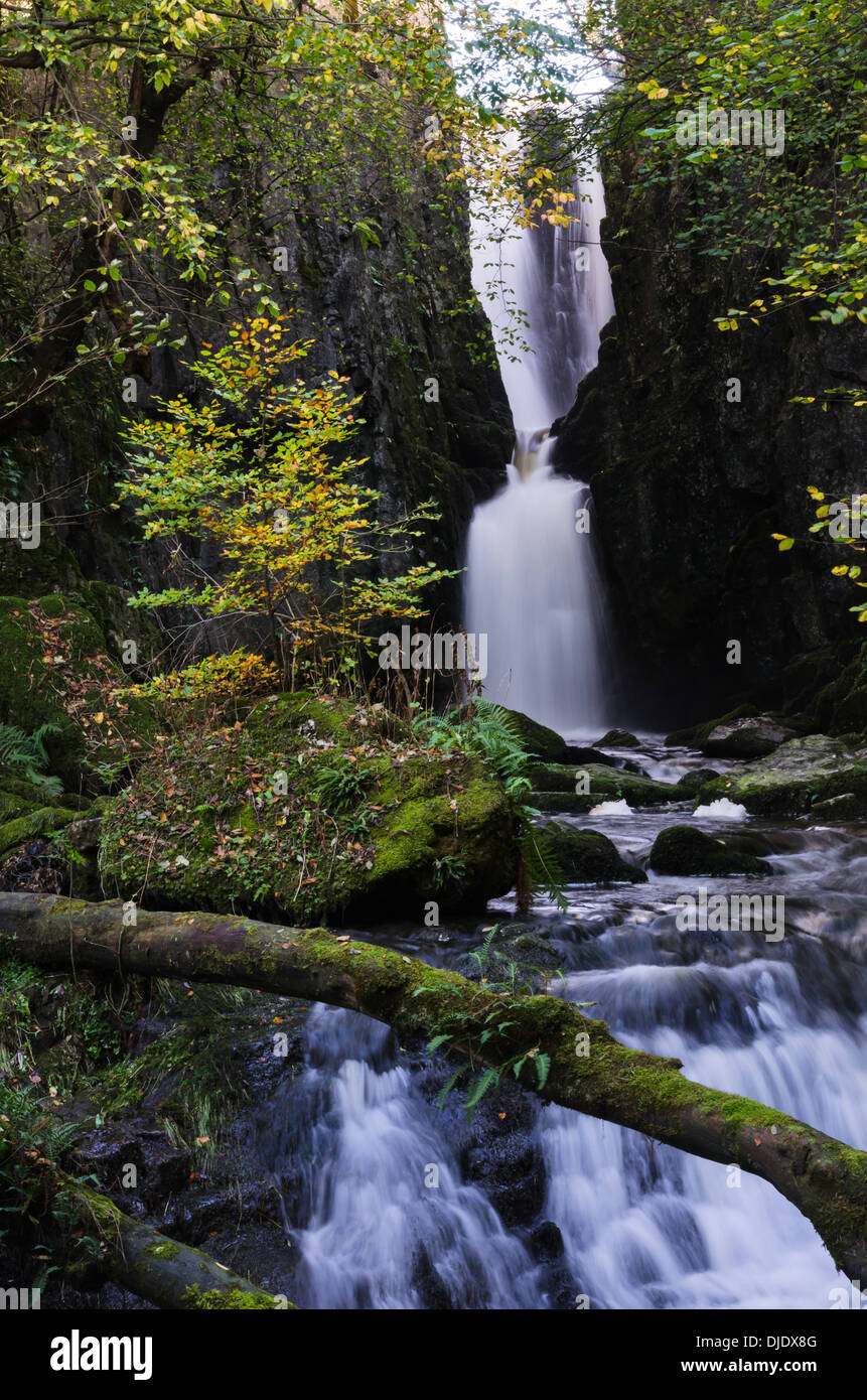 Catrigg Force waterfall in the Yorkshire Dales Stock Photo - Alamy