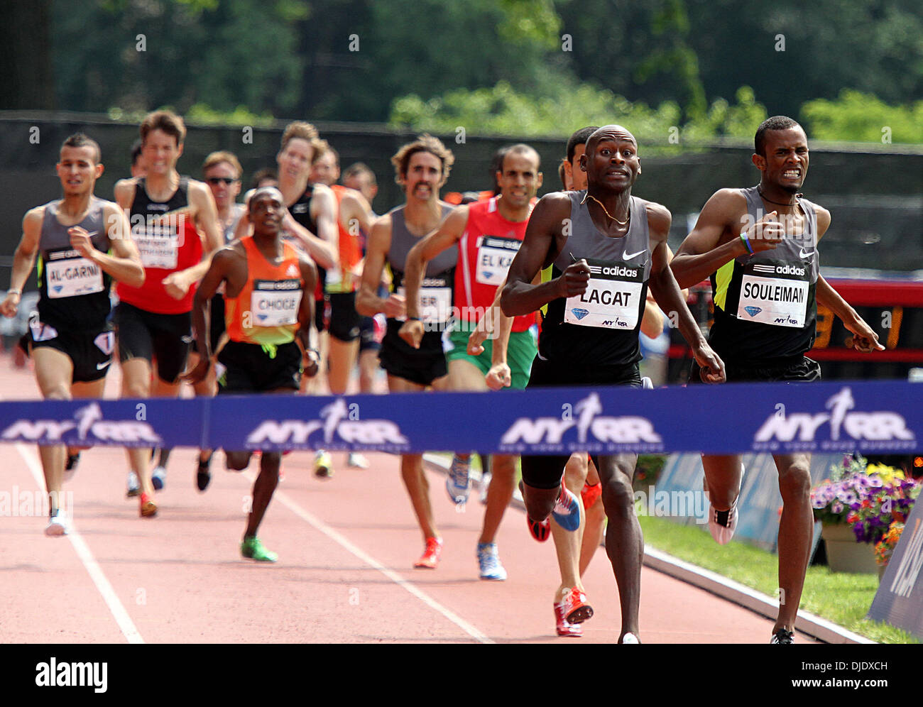 Lagat hi-res stock photography and images - Alamy