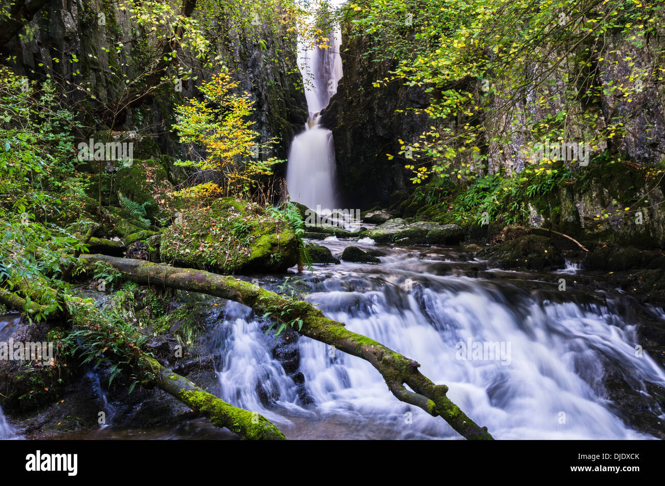 Catrigg Force waterfall in the Yorkshire Dales Stock Photo - Alamy