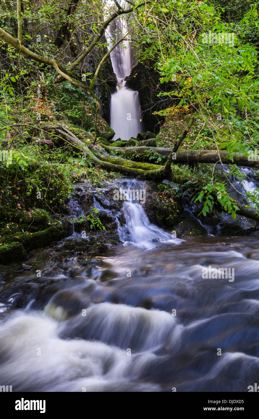 Catrigg Force waterfall in the Yorkshire Dales Stock Photo - Alamy