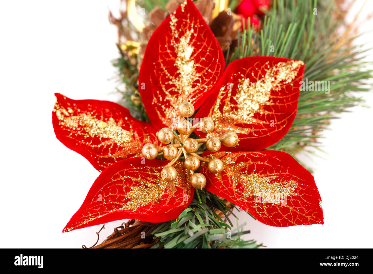 Holly berry flower and Christmas decoration isolated on white ...