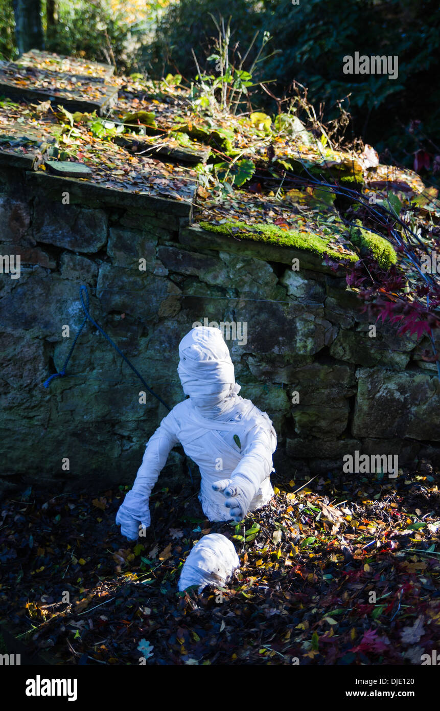 Rising from the ground hi-res stock photography and images - Alamy