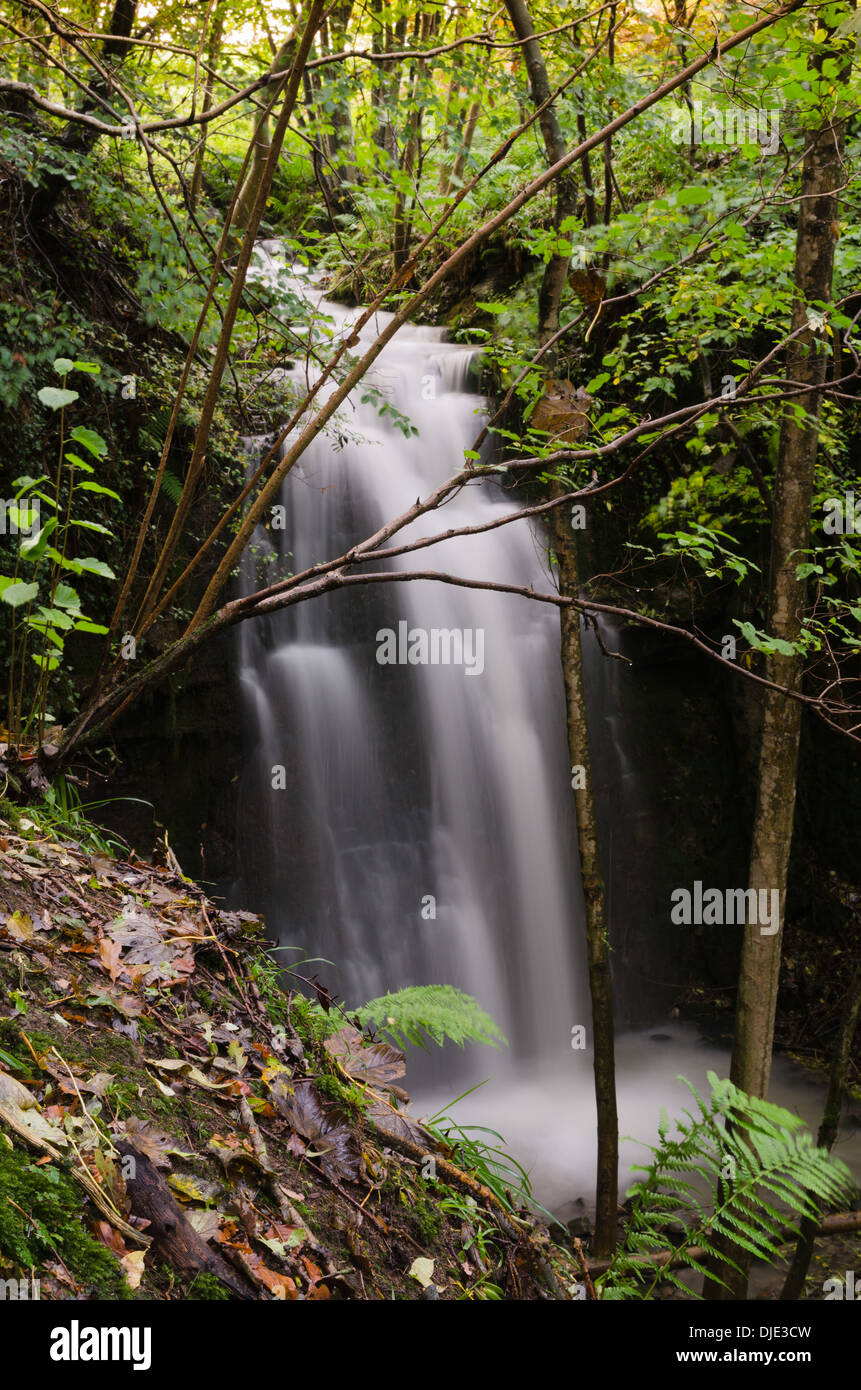 Woodland waterfall hi-res stock photography and images - Alamy