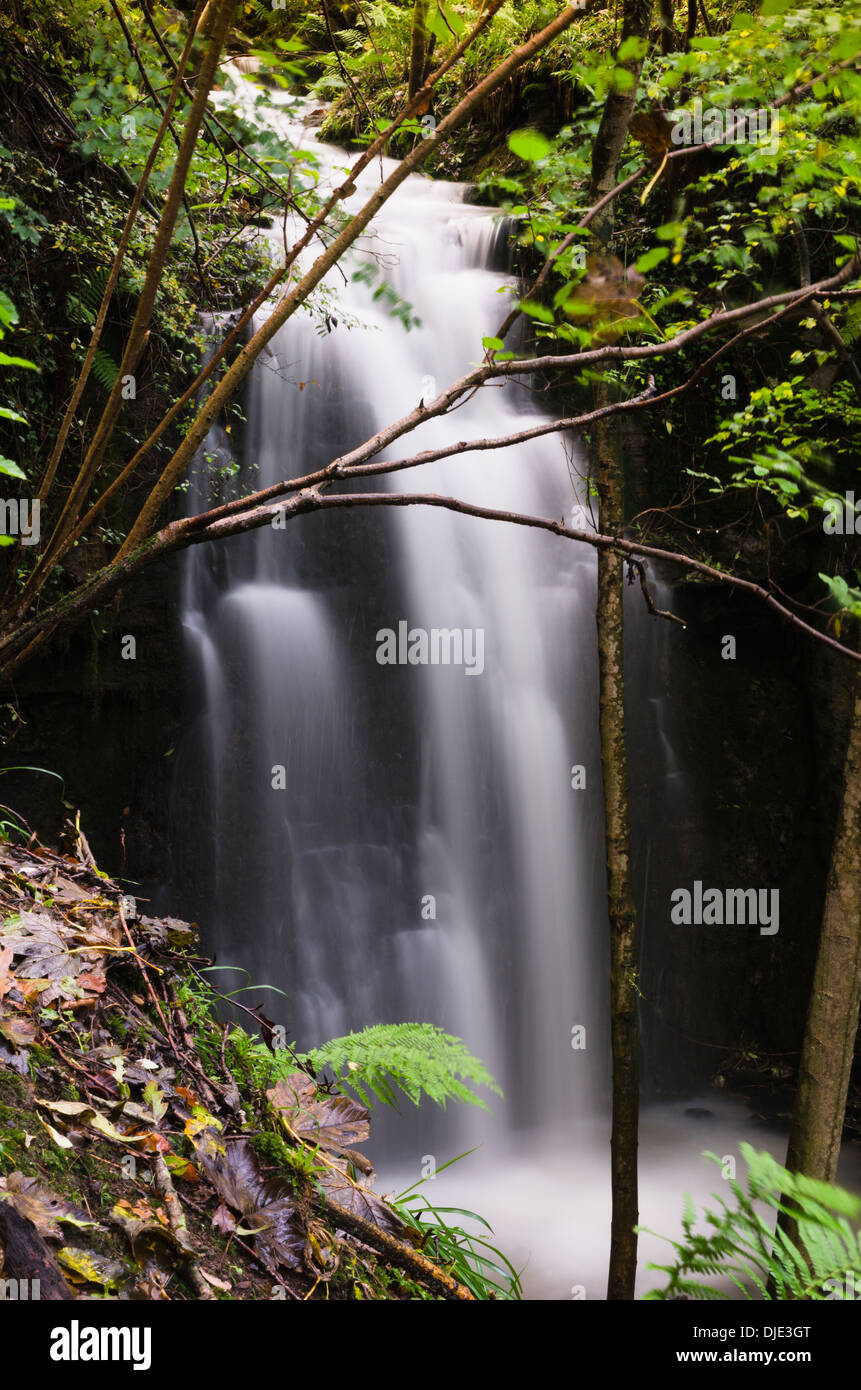 Woodland waterfall hi-res stock photography and images - Alamy