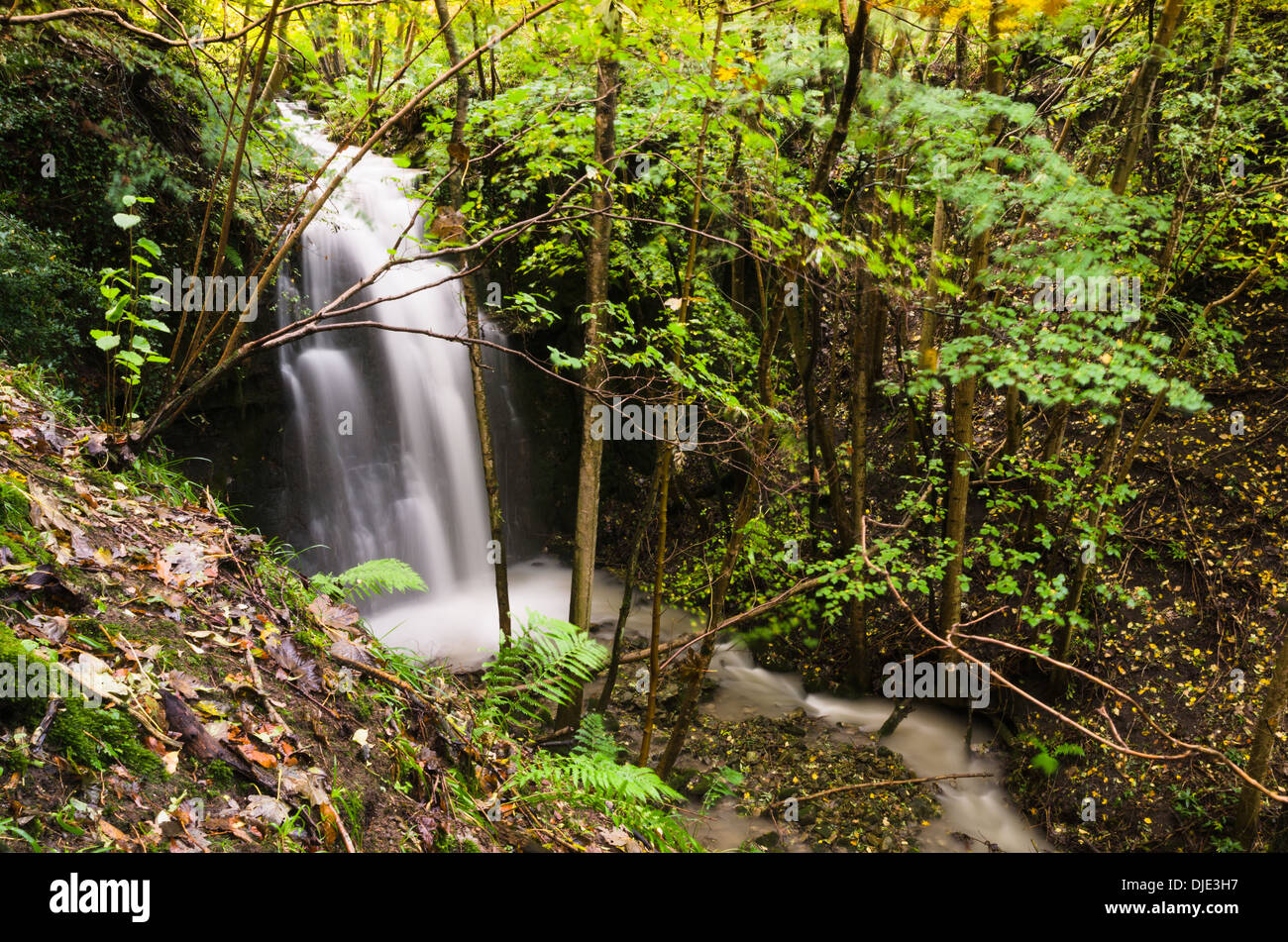 Woodland waterfall hi-res stock photography and images - Alamy