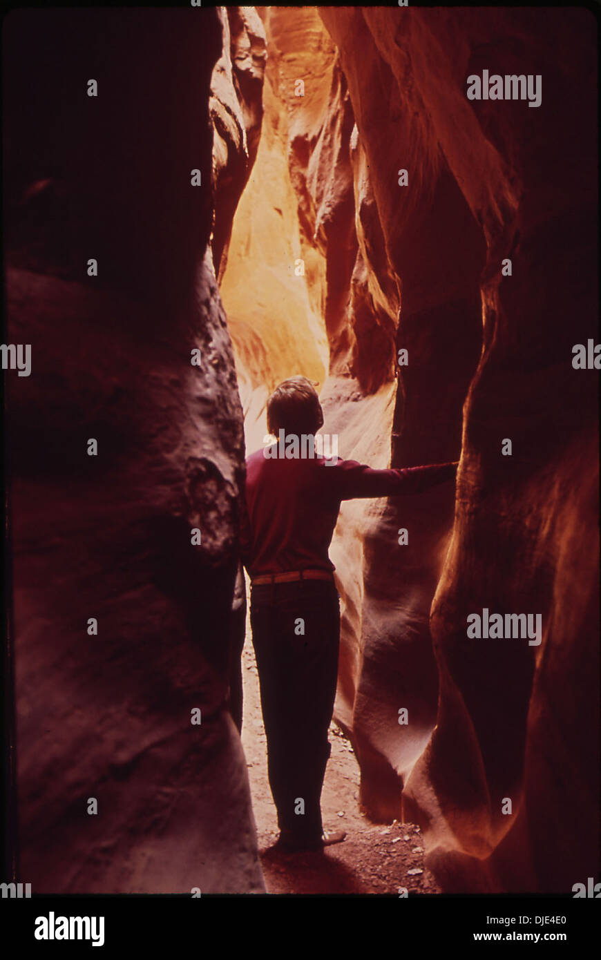 This image shows a narrow gorge carved into the sandstone of Escalante ...