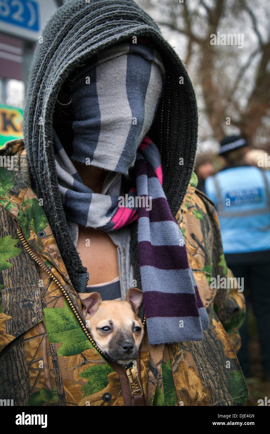 Concealed pet hi-res stock photography and images - Alamy